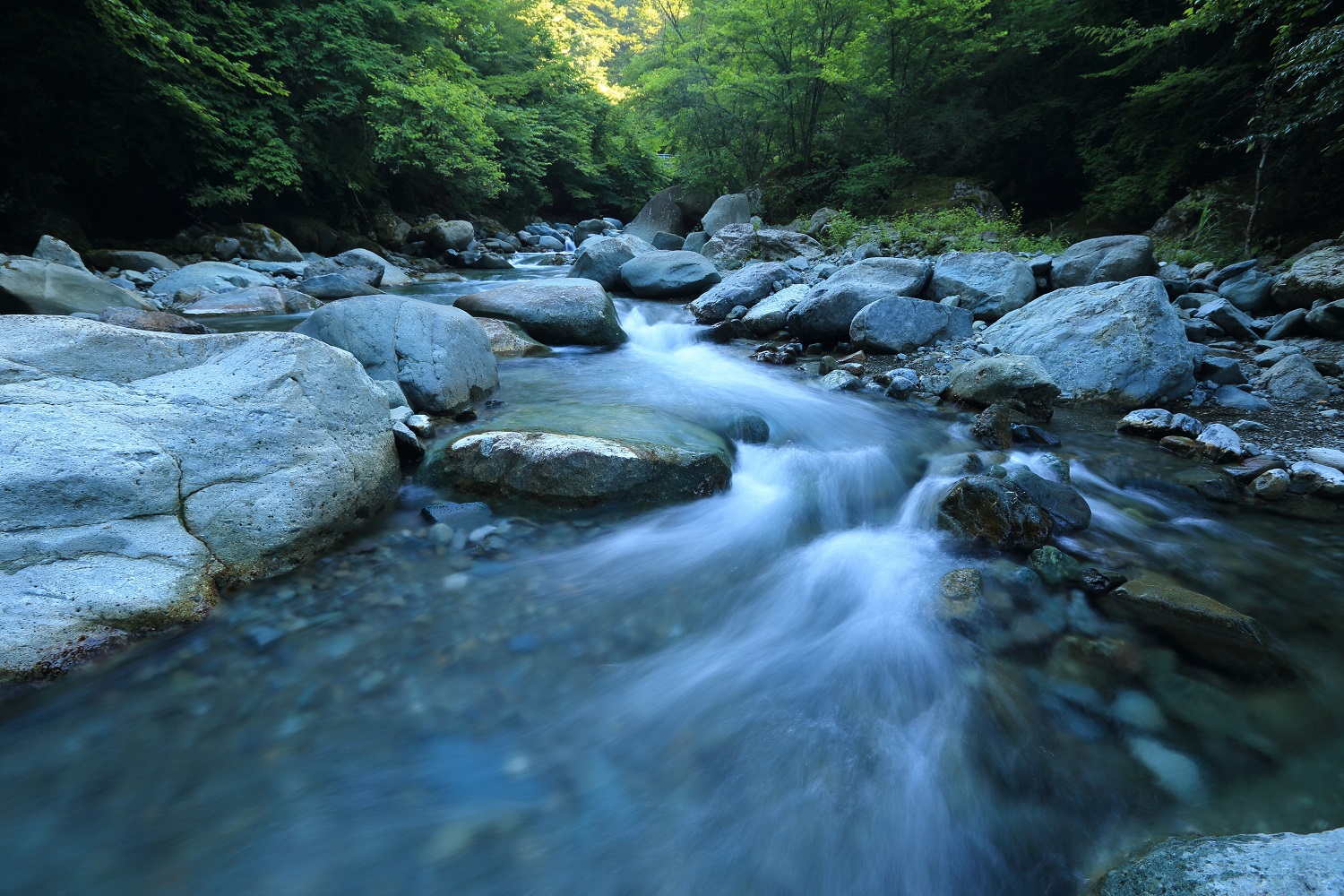 Il fiume: monitoraggio chimico e biologico - Il Muse per la scuola